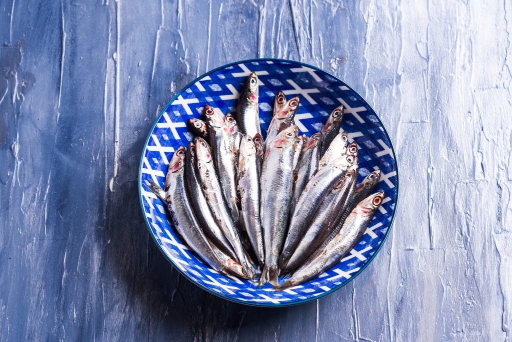 Secretos de las Anchoas: Tesoros del Mar en un Bocado Inolvidable ...