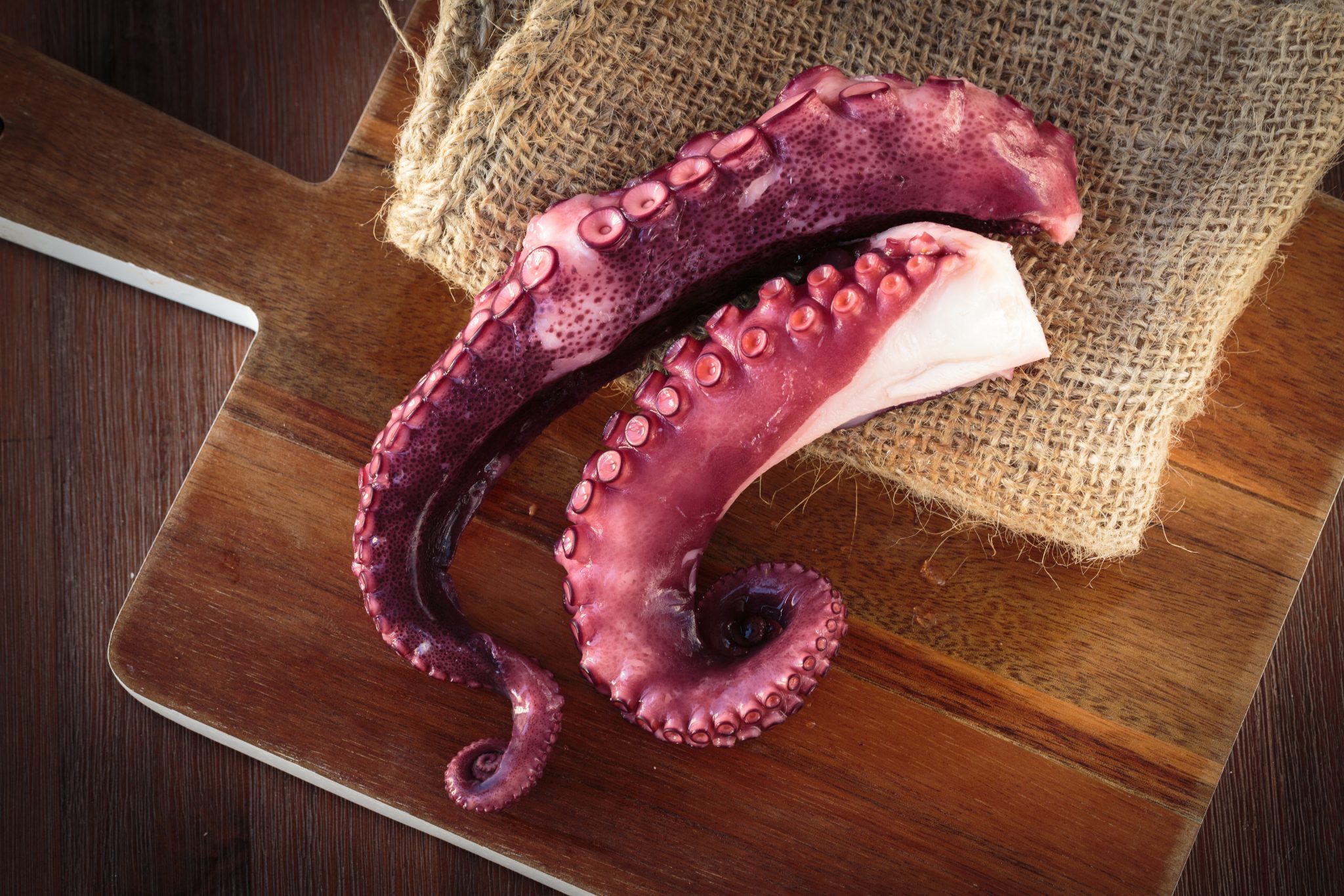 Cocinar Pulpo Tierno: Trucos | Conservas Ana María